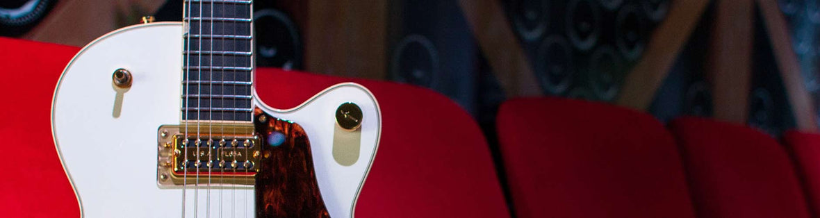 Professional | The Music Zoo