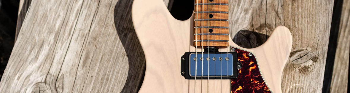 Ernie Ball Music Man | The Music Zoo