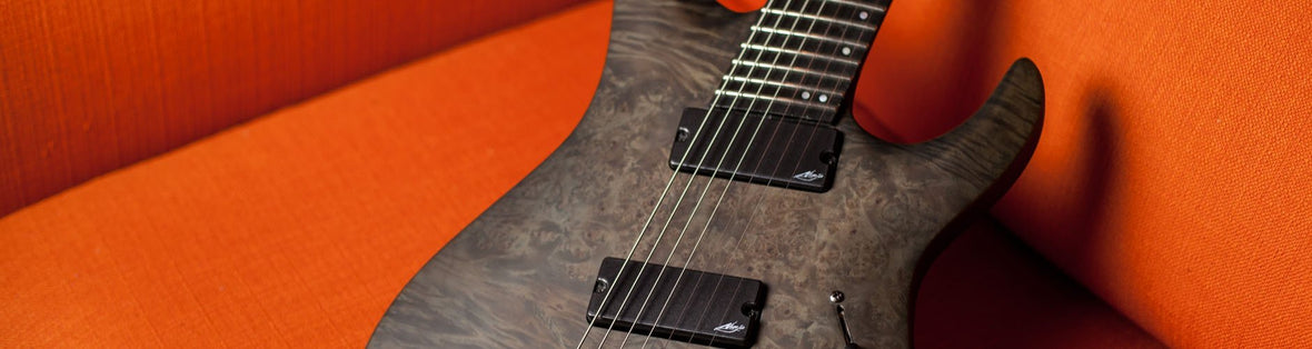 Legator | The Music Zoo