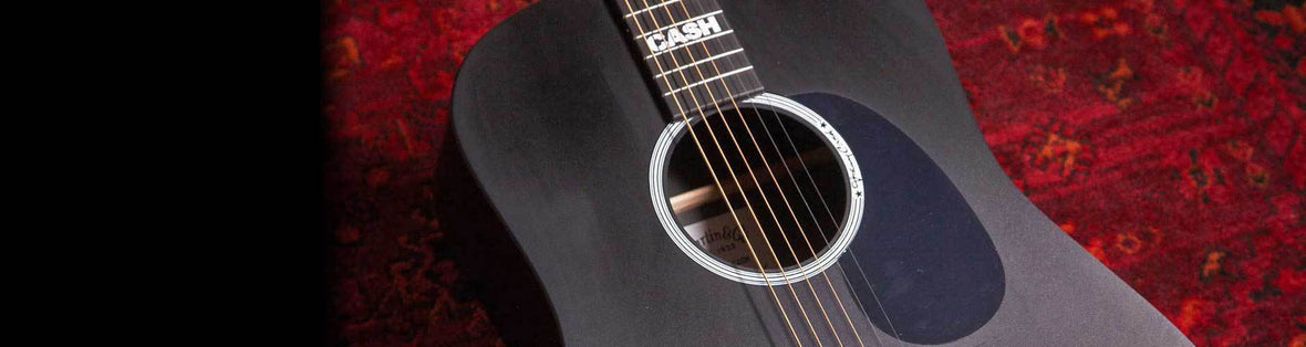 X Series | The Music Zoo