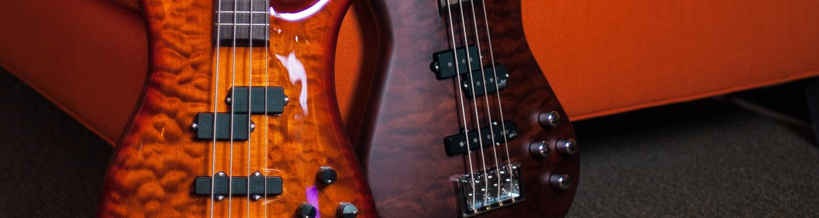 Spector | The Music Zoo