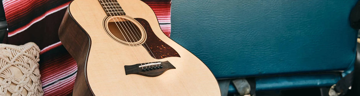 Taylor Accessories | The Music Zoo