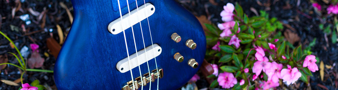 Ritter Instruments Electric Guitars | The Music Zoo