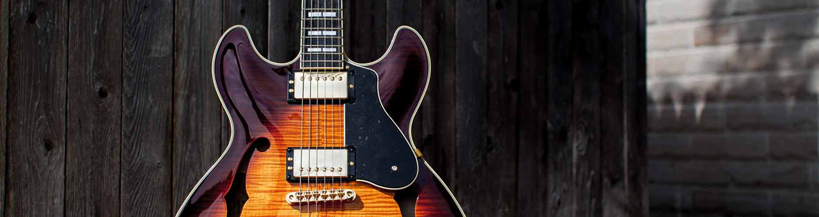 FS Series: Acoustic Non-Electric | The Music Zoo