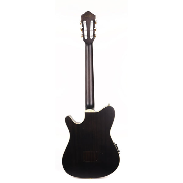 Ibanez TOD10N Tim Henson Signature Nylon Acoustic-Electric Transparent ...