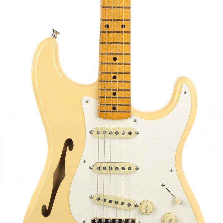 Fender Artist Series Eric Johnson Signature Stratocaster Thinline Vint ...